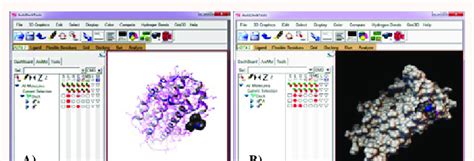 Autodock Windows Showing Docking Interactions ∆g V L L Bound V L L Download Scientific