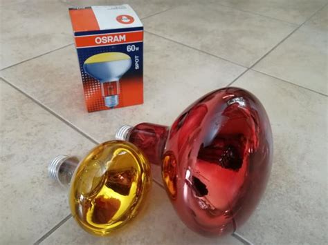 Лампы инфракрасные для обогрева брудеров, курятников, и. т. п. купить ...