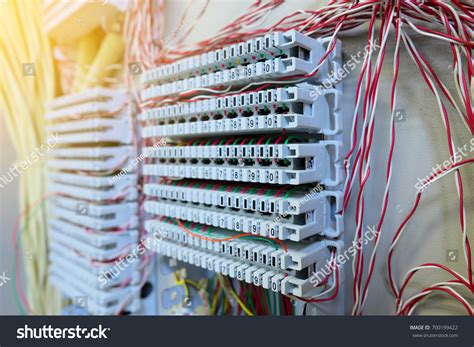 Cable On Patch Panel Wall Rack Stock Photo Shutterstock