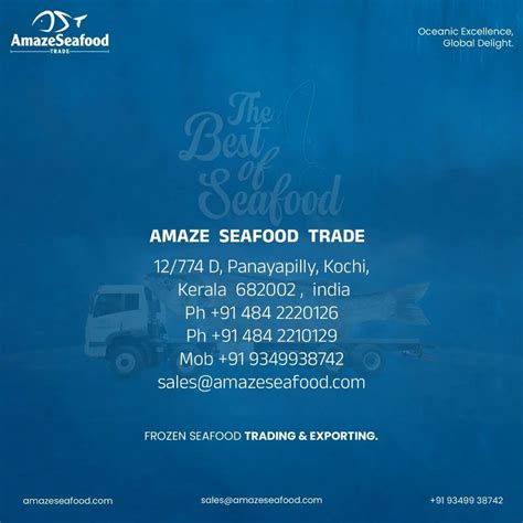 Supply Basa Fish Pangasius Whole Chilled Packaging Type Box Basa