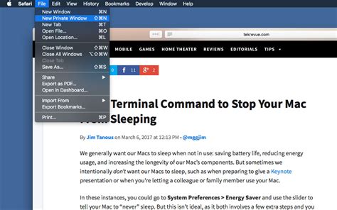 Why And How To Use Private Browsing In Safari For MacOS