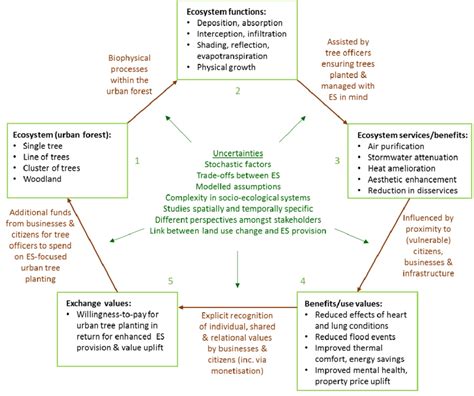 1 Conceptual Framework For An Urban Forest Payments For Ecosystem Download Scientific Diagram