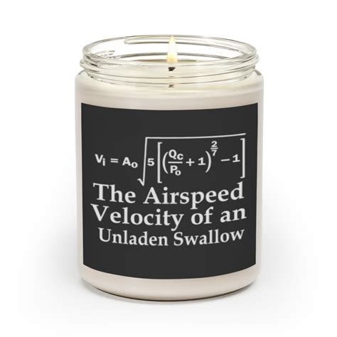 The Airspeed Velocity Of An Unladen Swallow T Monty Python The Holy