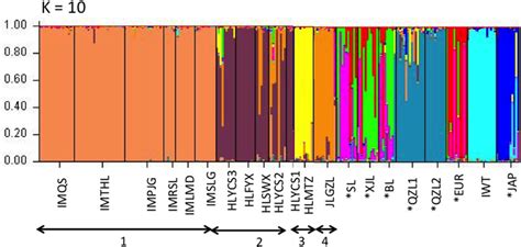 Percentages Of Membership Of Genotypes To Clusters Q Value Inferred
