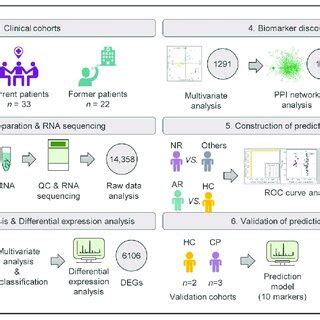 Workflow Of The Biomarker Identification Strategy For The Diagnosis Of Download Scientific