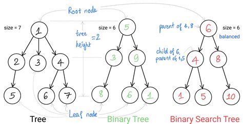 Tree Data Structure Part Tree And Binary Tree SESV Tutorial
