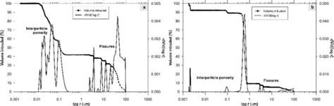 Cumulative Mercury Intrusion And Pore Size Distribution Curves Of Dark