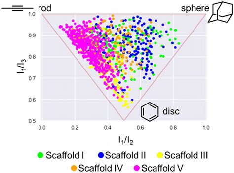 Normalized Principal Moment Of Inertia Analysis Of Members Of The