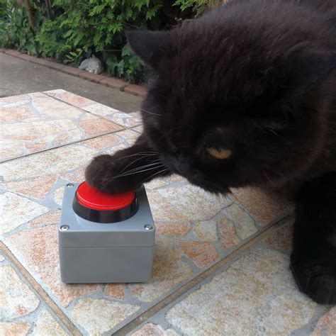 A Big Red Button Acting As A Keyboard Using Arduino