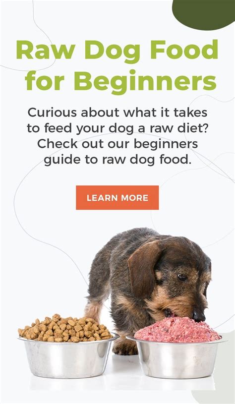 What Meat Should I Feed My Dog At Richard Sayles Blog