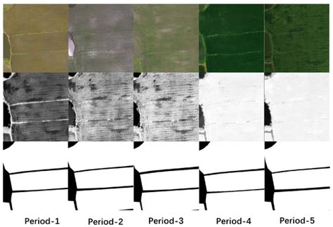 Vegetation Land Segmentation With Multi Modal And Multi Temporal Remote Sensing Images A