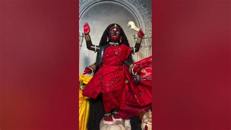 শ্যামা সুন্দরী মা জয়মাকালী শ্যামা কালীমা কালী কালী শিবশক্তি শিব ভাইরাল শটস Youtube