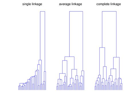 10 Comparison Of Linkage Methods For Exploratory Data Analysis Download Scientific Diagram
