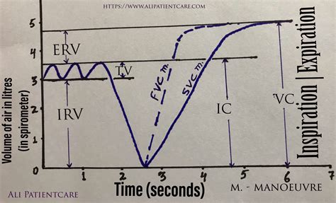 pin on pulmonary function tests pfts
