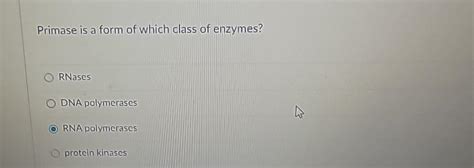 Solved Primase Is A Form Of Which Class Of Enzymesrnasesdna