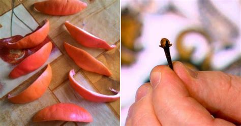 Освежитель воздуха для дома из цитрусовых корок Со Вкусом