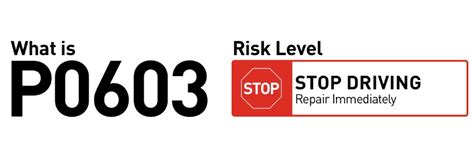 P Code Powerstroke Engines What You Need To Know P Code Powerstroke Engines What You Need To Know