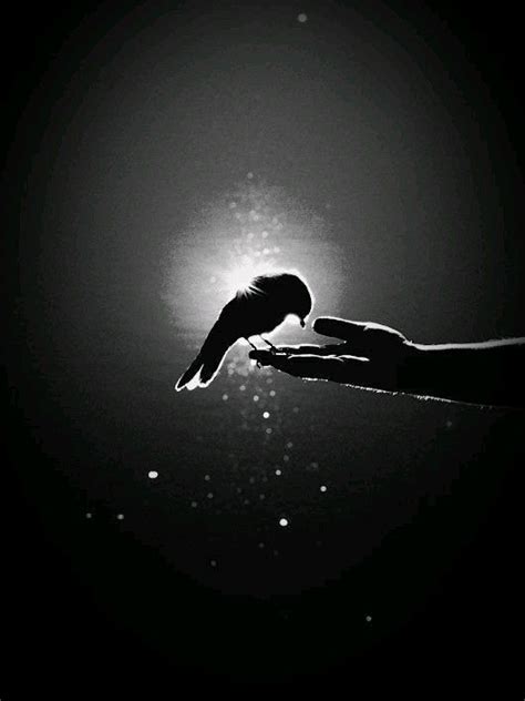 Ratul Hasan Posted On Linkedin