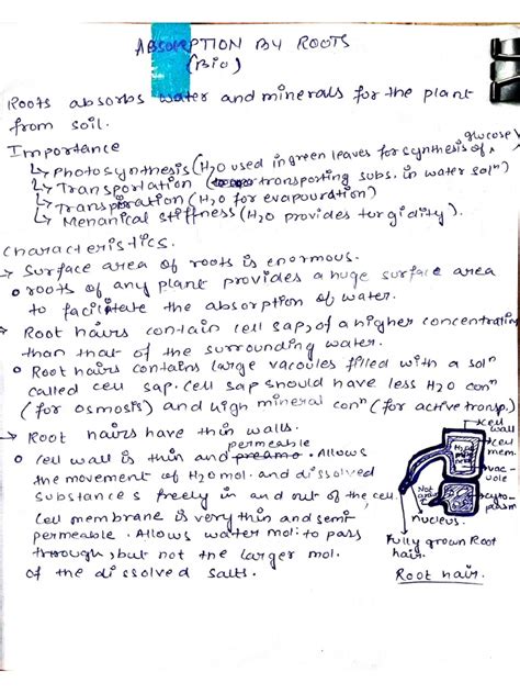 Absorption Class X Pdf