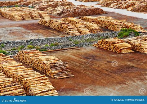Timber Export Terminal Stock Image Image Of Stick Sawed 10632503