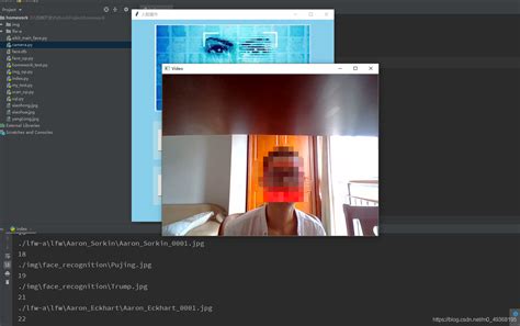 Python人脸识别：对完成一个简单的人脸识别项目总结python Facesql 库 Csdn博客