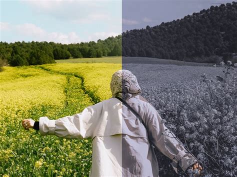 Apply Color Grading Enhancement On Your Photograpghs By Mr Manan Fiverr