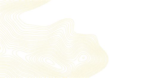 Network Connection Application — Nelson Electricity Limited