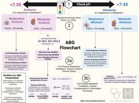 Abg Calculator My Endo Consult