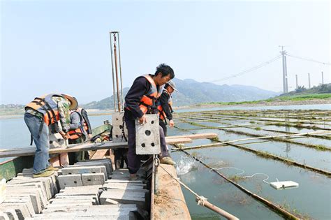 重庆江津长江上游首次投放新型人工鱼礁 鱼苗有了保护伞 长江经济带