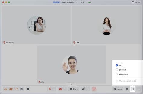 Use Language Interpretation