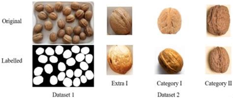Figure 1 From A Raspberry Pi Guided Device Using An Ensemble Convolutional Neural Network For