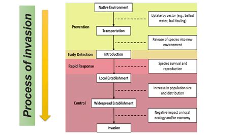 Invasive Pests In India Pdf Agriculture Industries