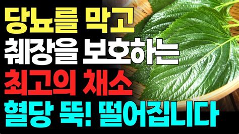 채소를 딱 3가지만 먹는다면 ‘이 채소만 드세요 약없이 췌장 보호되는 최고의 항산화 채소 L 당뇨 환자 채소 Top 3 Youtube