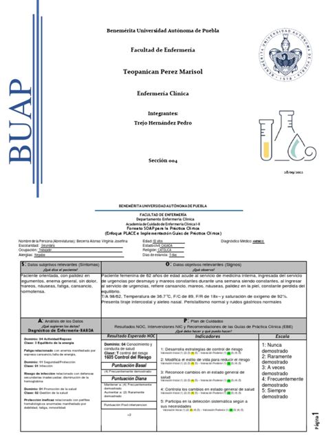 Formato Soap 2 Merged Pdf Enfermería Medicina Clinica