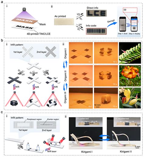 南洋理工大学周琨教授团队 Am：4d打印兼具光致变色和光热制动的可重复编辑液晶弹性体 中国聚合物网科教新闻