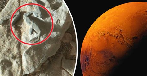 Shock Claim FOSSILS Found On Mars Are Proof Of Alien WORMS Daily Star