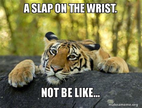 A Slap On The Wrist Not Be Like Confession Tiger Meme Generator