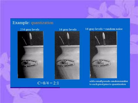 Fundamentals And Image Compression Models PPTX