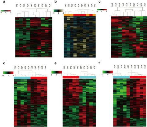 Hierarchical Clustering That Shows The Expression Profiles Of Lncrnas Download Scientific