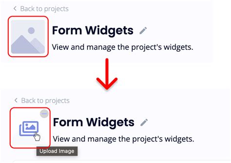 How To Customize Your Projects Name And Image Common Ninja