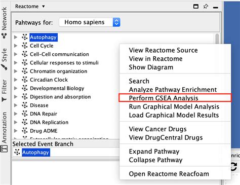 Module 4 Lab Reactomefi Pathway And Network Analysis Of Omics Data