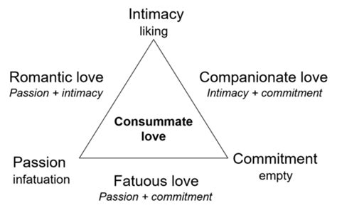 HDFS FINAL Flashcards Quizlet HDFS FINAL Flashcards Quizlet