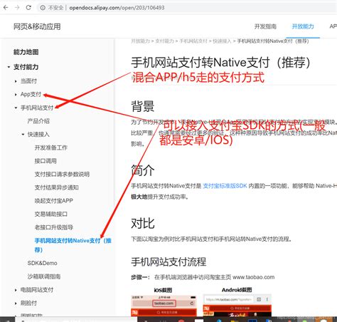 后端 nodejs 支付宝 手机网站支付 混合应用app h5可以走这种支付方式 nodejs checknotifysign csdn博客
