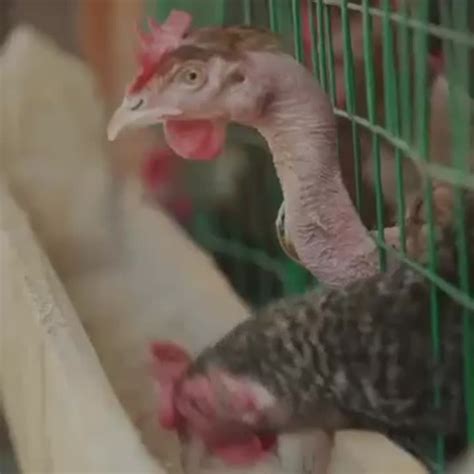 Shiva Shankar Posted On Linkedin