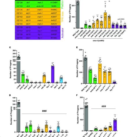 Mutations In Apc C Genes Suppressed Lethality Of The Oma 1 Zu405 Download Scientific Diagram