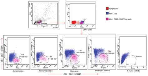 E Gating Strategy For The Enumeration Of T Regulatory Treg Cells Download Scientific