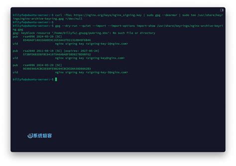 如何在 Ubuntu LTS 上安装 Nginx 稳定版或主线版本 系统极客