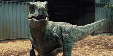 Image Jurassic World Velociraptors 6 Png Jurassic Park Wiki