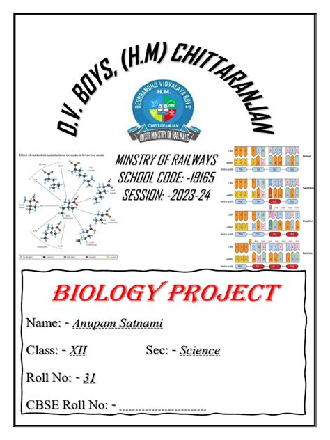 Bio Project Download Free Pdf Point Mutation Mutation Bio Project Download Free Pdf Point Mutation Mutation