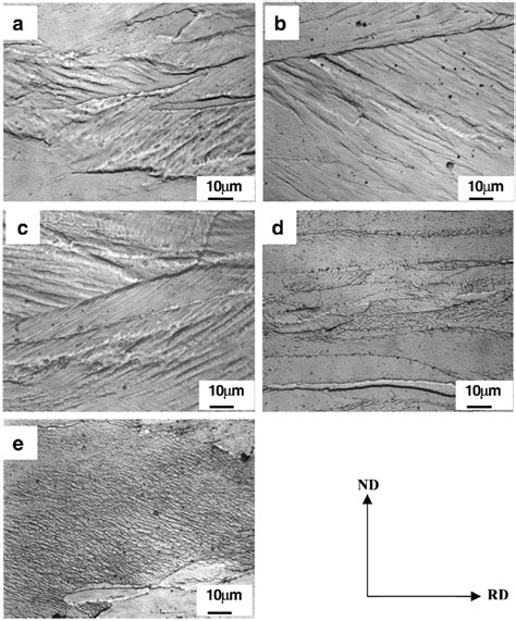 Typical Deformation Microstructures Produced By Rolling At 640 °c A Download Scientific